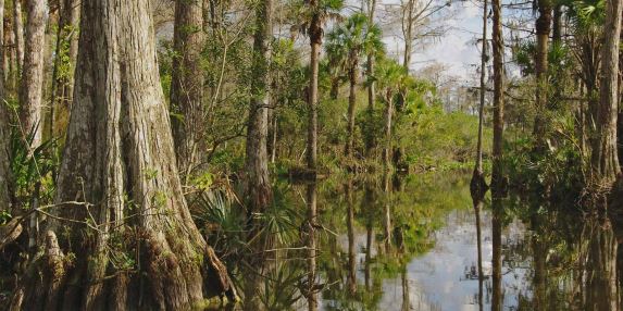 Puerto Rico: Island of Natural Wonders | EF Explore America